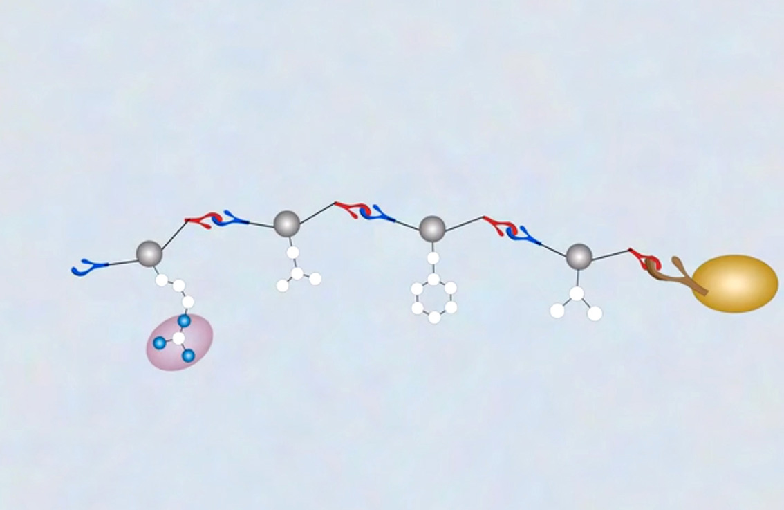 争光小讲堂——神奇的多肽固相合成技术